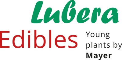 Produkte